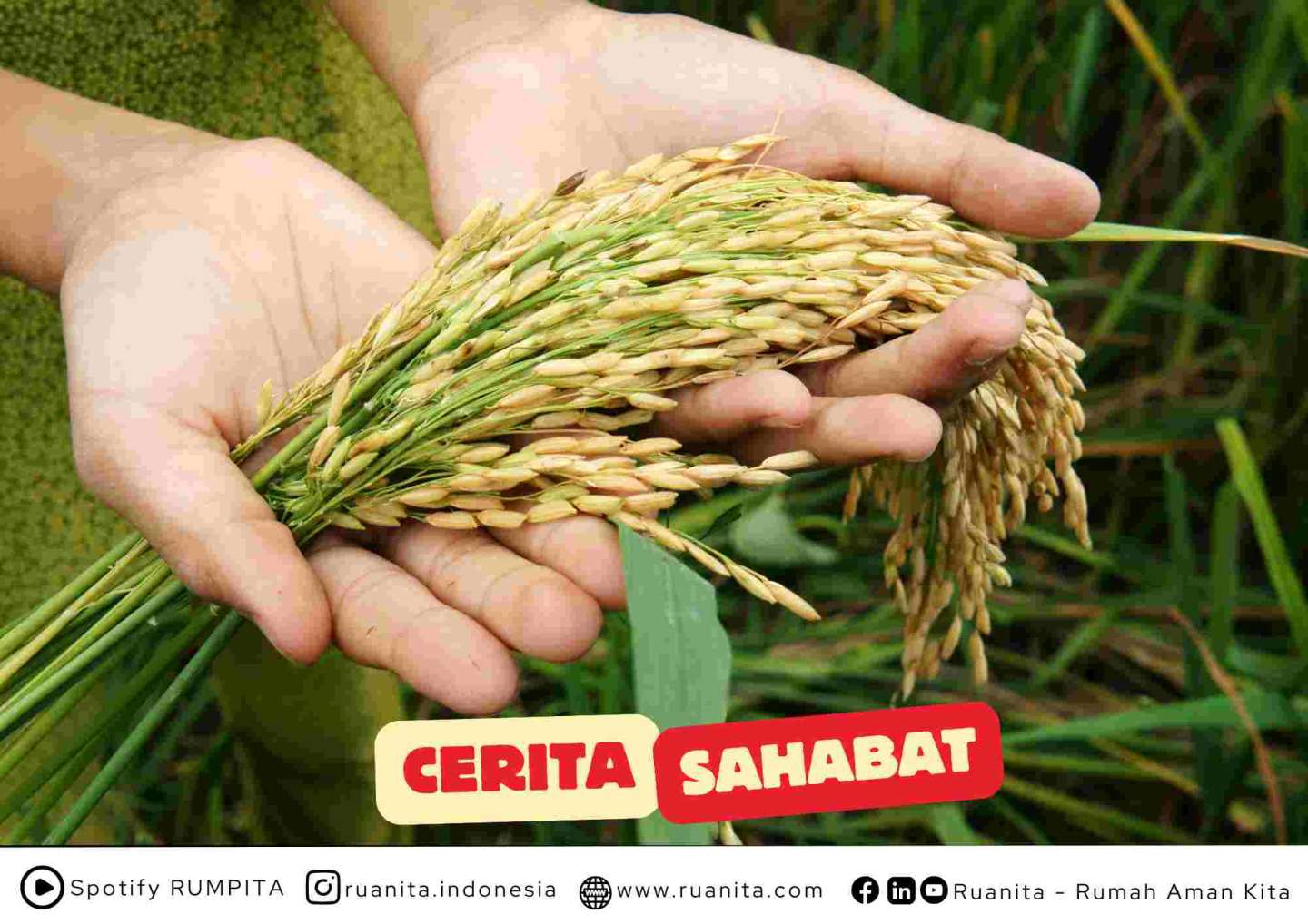 (CERITA SAHABAT) Dari Usaha Kuliner Indonesia di Prancis ke Pesan di ...